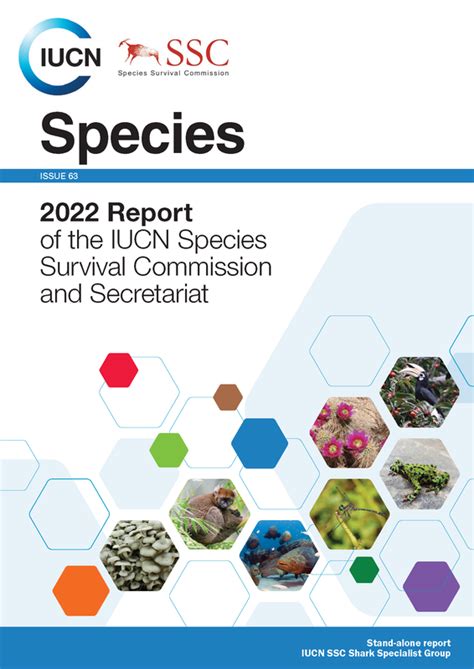 News Iucn Ssc Shark Specialist Group