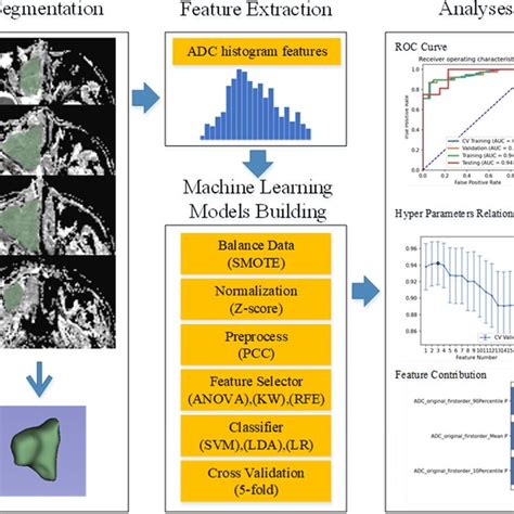 histogram analysis workflow main steps are 3d segmentation feature