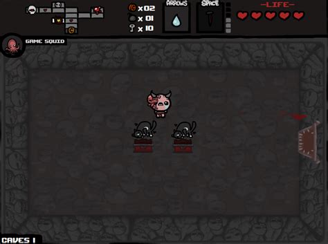 Til 9 Lives Does Not Stack With Itself Rbindingofisaac