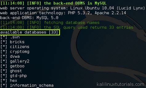 Sqlmap Enumeration Of Databases And Users From Vulnerable Forms
