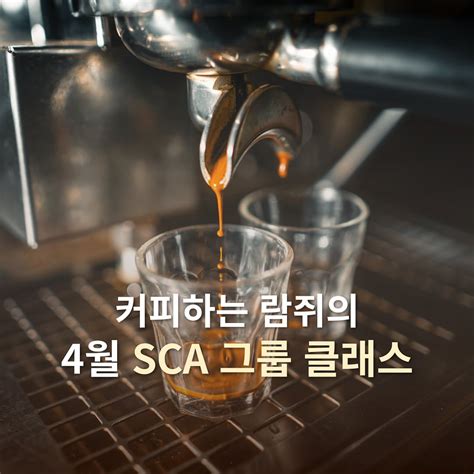 커피하는람쥐가 직접 교육하는 Sca교육 카페창업교육 커피교육자 양성 Famouscoffeeacademy • Instagram Photos And Videos