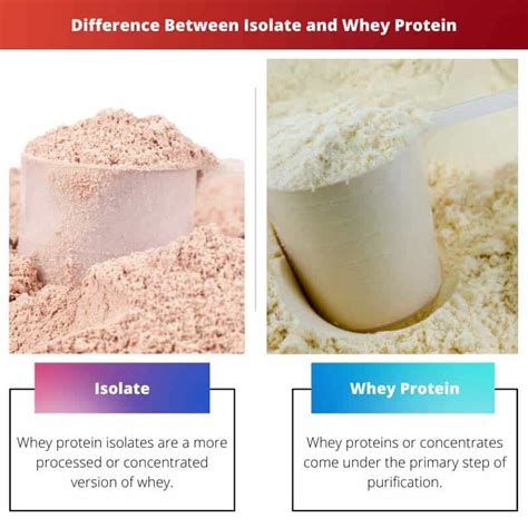 Isolate Vs Whey Protein Difference And Comparison