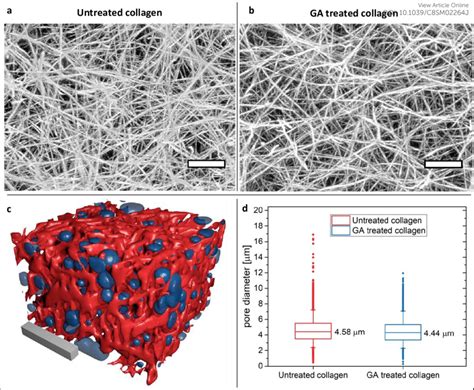 Overall Gel Structure And Pore Size Determination In Lsm Stacks Of Download Scientific Diagram