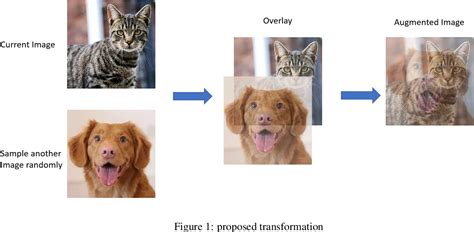 Self Supervised Image Representation Learning Transcending Masking With Paired Image Overlay