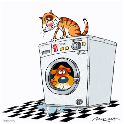 Funny Cat Cartoon