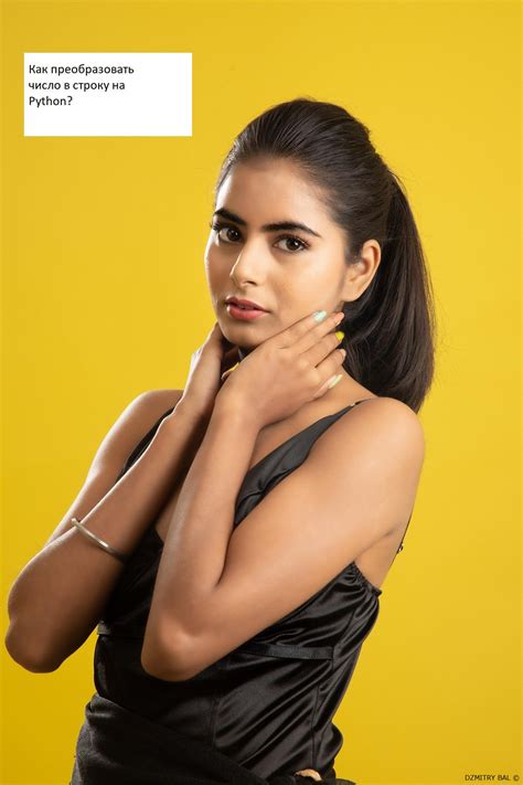 Как преобразовать число в строку на python С нуля до 12 языков программирования c php