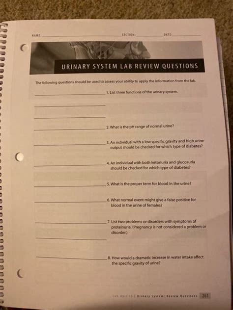 Solved Name Section Date Urinary System Lab Review Questions