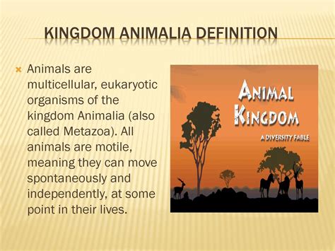 Kingdom Biology Definition