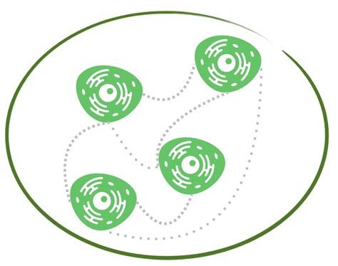 Team Encapsulation And Orchestration Agile Ways