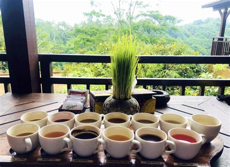 한국어 드라이빙 가이드 발리 우붓 인스타 인생샷 투어 Ver3 뚜깟째뿡 폭포띠르다 엠뿔 사원구릉 카위 Kkday