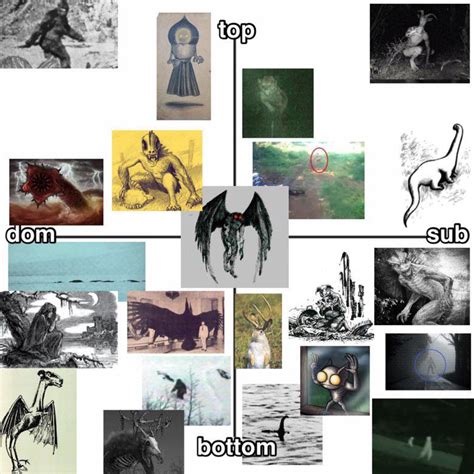 Cryptid Gay Sex Chart Rcryptidmemes