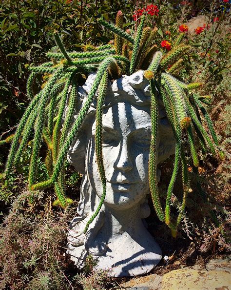 Medusa Head With Cactus Stone Planters Head Planters Succulents Garden