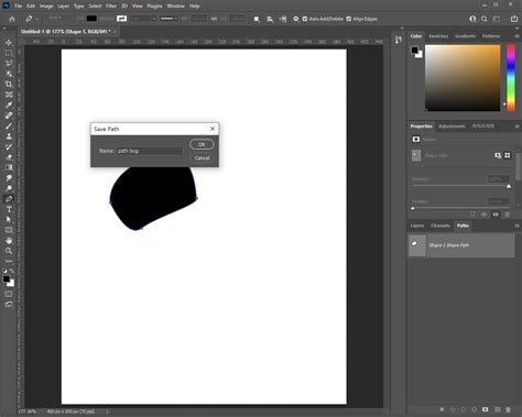 Path Name Error Adobe Community 12334270