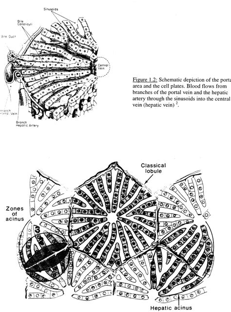 Figure 1 2 From Design Of A Percolation Reactor Semantic Scholar