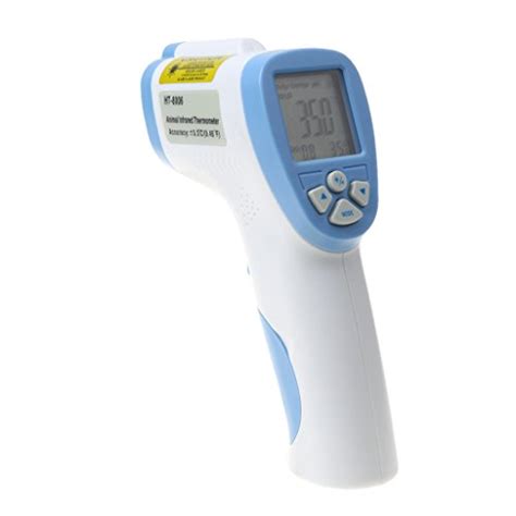 What Is A Normal Cat Internal Body Temperature And How To Measure