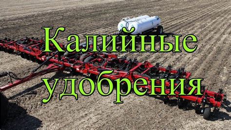 Калийные удобрения. Особенности применения - YouTube