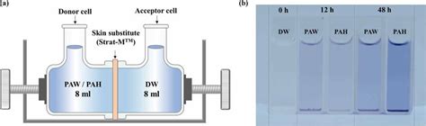A Schematic Diagram Of The Horizontal Franz Diffusion Cell For The