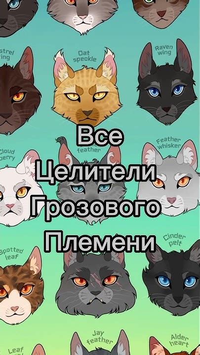все целители грозового племени эдит коты-воители #warriorcats #warriors ...