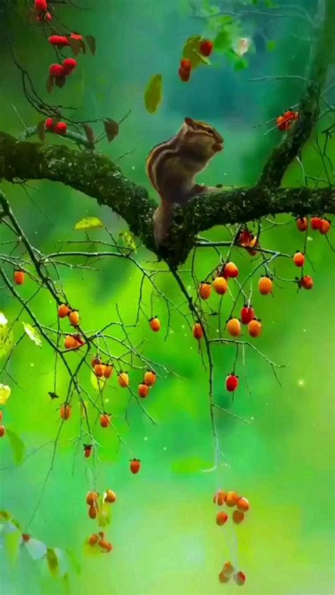 Ангелы слышат мысли Рисунки Рисунки пейзажей Милые рисунки