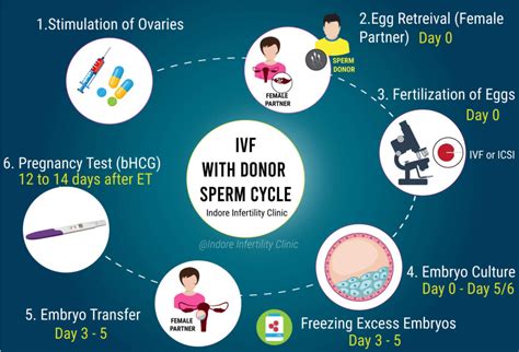 Ivf With Donor Sperm When Is It Recommended And Its Cost