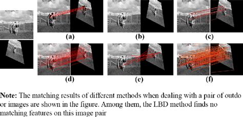 Results Of Rotation And Scale Invariance Download Scientific Diagram