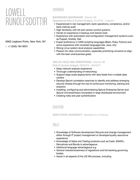 Risk And Control Analyst Resume Samples Velvet Jobs