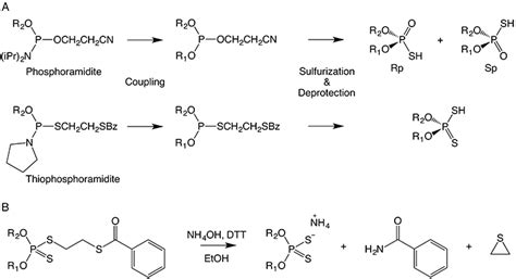 Phosphorothioate