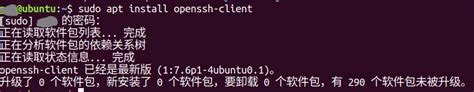 ubuntu 18 04 开启ssh服务 ubuntu18 04启动ssh csdn博客