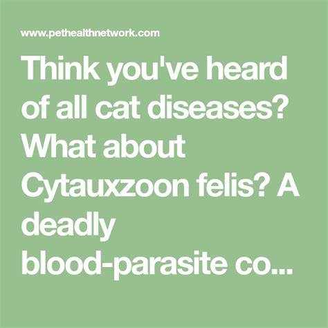 What Is Bobcat Disease At Edgar Portis Blog