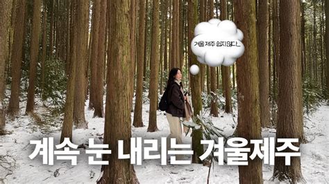 얘들아또 눈 온다~😇 겨울제주 2박3일 여행 브이로그 친구들이랑 제주여행 제주 동쪽 여행 월정리 근처 숙소 흑돼지 맛집 비밀의 숲 Youtube