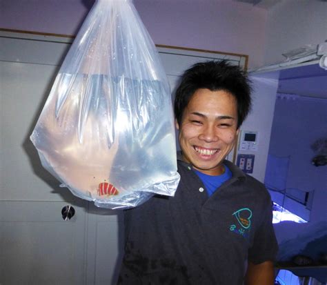 Peppermint Angels Are Officially Making Their Way Around The World