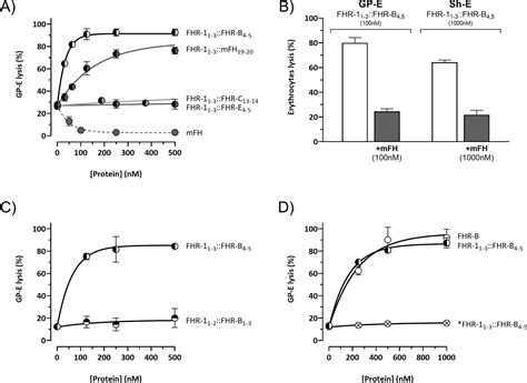 Functional And Structural Characterization Of Mouse Factor H Related B