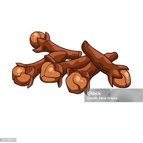 말린 정향 허브와 향신료 손으로 그린 벡터 일러스트 레이 션 0명에 대한 스톡 벡터 아트 및 기타 이미지 0명 갈색 건강한 생활방식 Istock