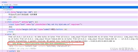 Nssctf之web篇刷题记录12 Csdn博客