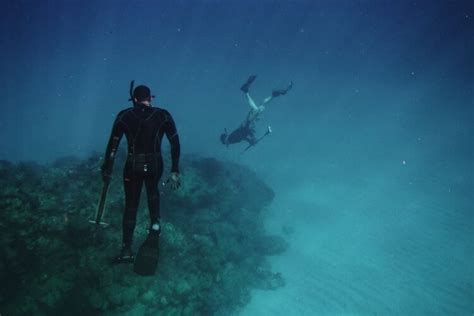 Different Types Of Diving Explained Diving Lore