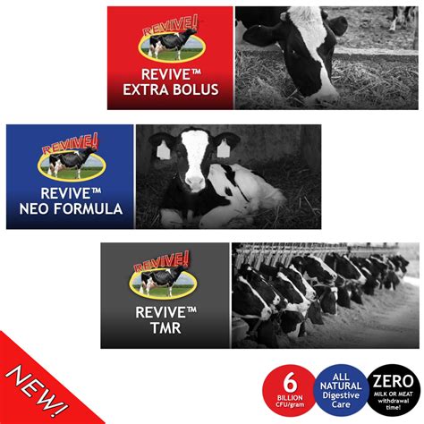 Revive Microbial Probiotics Home