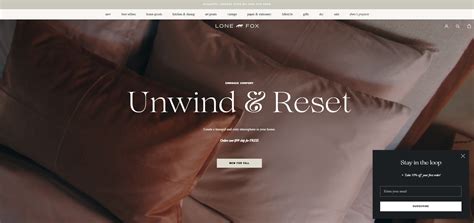 Crafting The Perfect Newsletter Popup Tips Examples