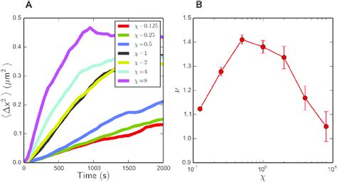Msd Analysis Of Actin Filaments In Simulation A Msd Over Time For Download Scientific