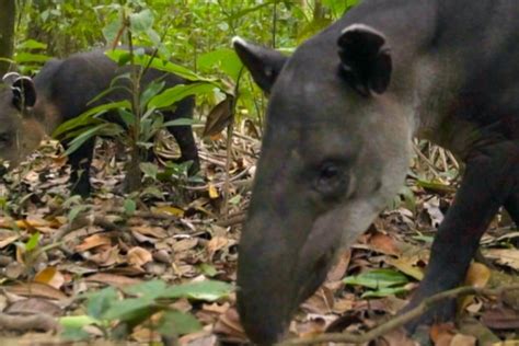 Consejos Para Mantener Una Vida Saludable Infobae
