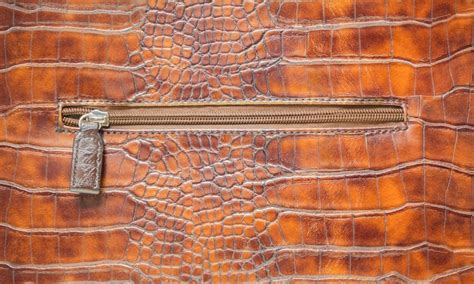 The Difference Between Alligator Skin And Crocodile Skin Dudes Boutique