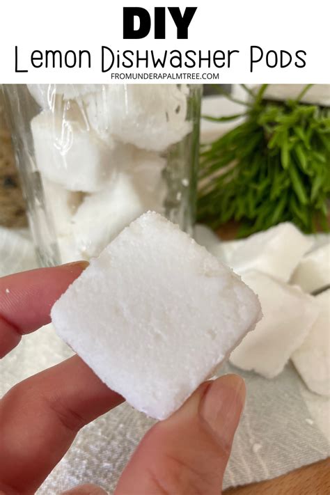 Diy Lemon Dishwasher Pods From Under A Palm Tree