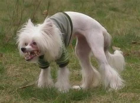 ポッカキット 3281ページ目 3406ページ中 World News Blog