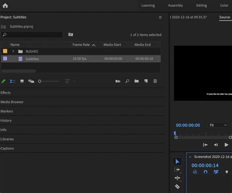 How To Create Dynamic Subtitles In Premiere Pro With The Captions Tool