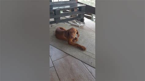 2024 Szeptember 10 Youtube