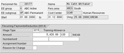 Sap Erp Hcm Wage Types Pay Structures And Master Data Maintenance
