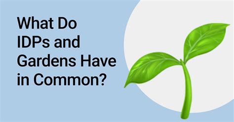 Issue 40 What Do Idps And Gardens Have In Common