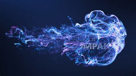 Particle D Design Company