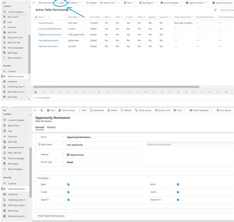 How To Set A Lookup Value In Power Apps Portals