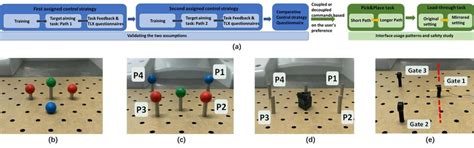 experiment protocol a experiment flowchart b training task setup