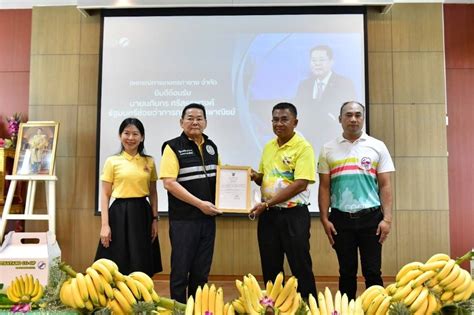 ขึ้นทะเบียน Gi กล้วยหอมทองเพชรบุรีสร้างมูลค่าเพิ่มสินค้าอัตลักษณ์ชุมชน เรื่องเล่าข่าวเกษตร